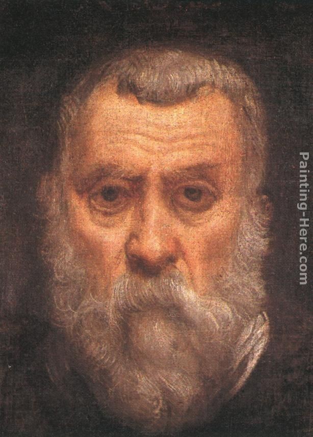 Jacopo Robusti Tintoretto Portrait of Vincenzo Morosini Painting | Best ...